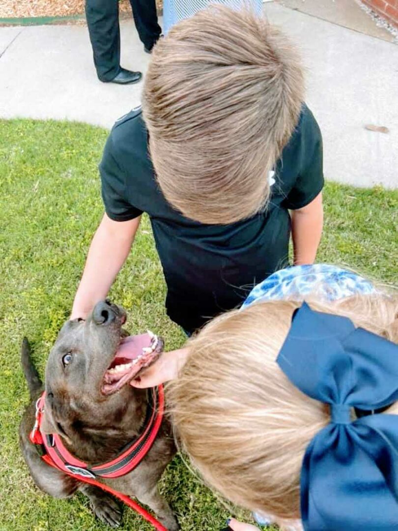 May I pet your puppy?’: Girl grieving outside funeral home finds ...